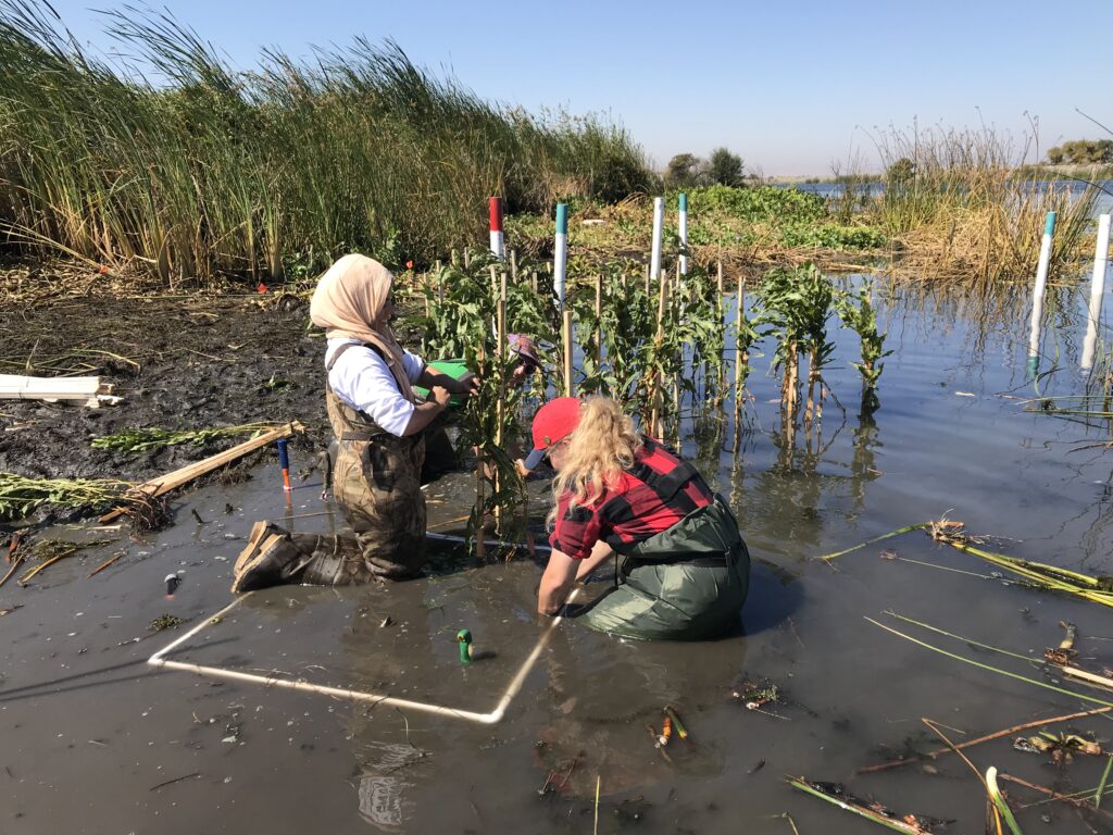 Grant Programs – Delta Conservancy