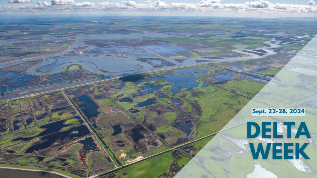 Celebrating Sacramento-San Joaquin Delta Week 2024 – Delta Conservancy